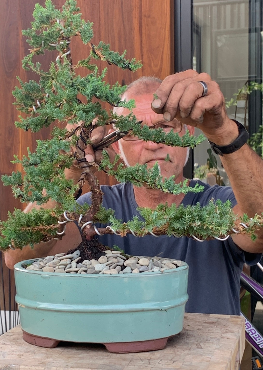 Beginner Bonsai Classes