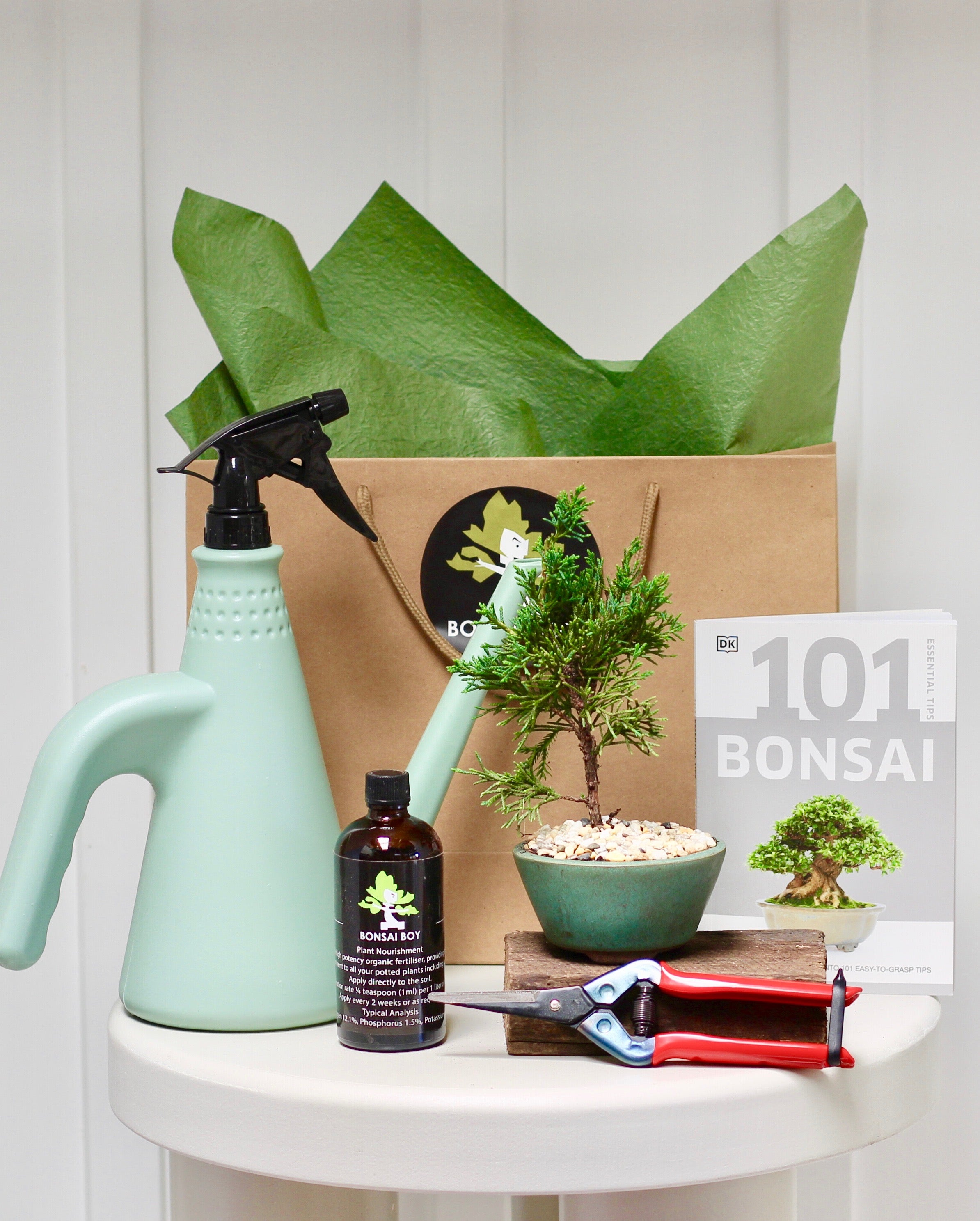 Bonsai Starter Kit - Port Jackson Fig - 18cm Sold by Bonsai Boy